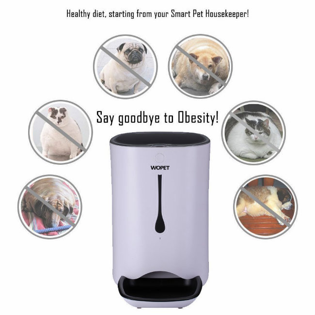 Own A Pet? See Why You Need A WOpet Timer Programmable Feeder For Cats ...