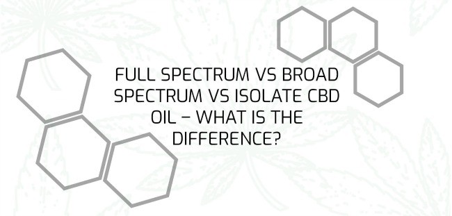 Full Spectrum vs Broad Spectrum vs Isolate CBD oil – what is the ...