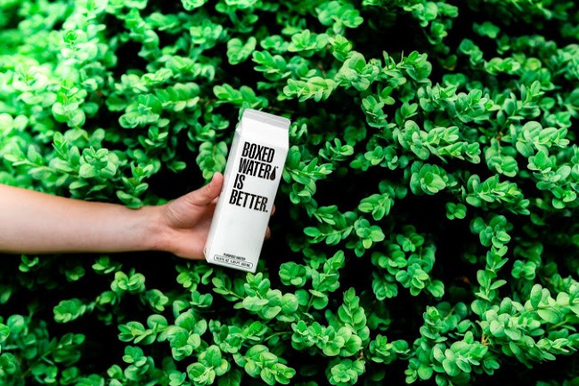 How to Create an Eco Brand That Thrives