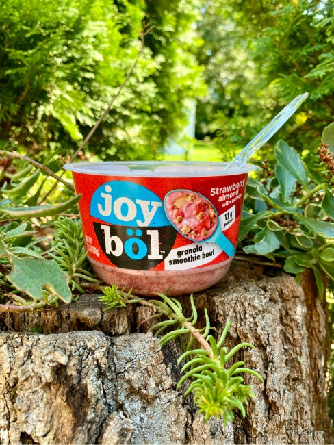 Enjoy the World's Easiest & Yummiest Granola Protein Smoothie Bowl ...