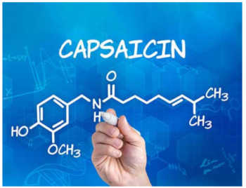 Transition To A Healthier, Happier & Thinner You With Tetrogen