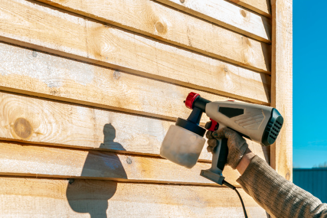 Why Should You Use Borax To Kill Termites