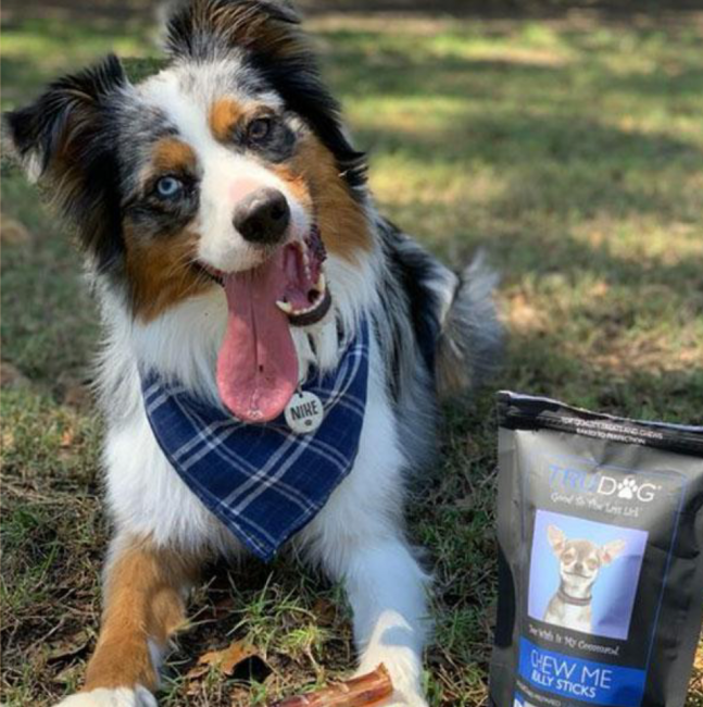 Feed Your Dog The Best With TruDog