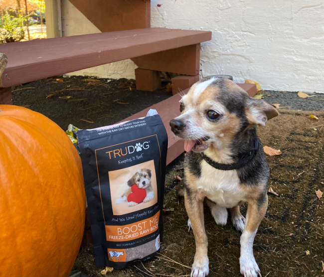 Feed Your Dog The Best With TruDog