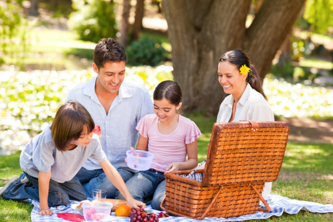 5 Tips for Planning the Perfect Picnic