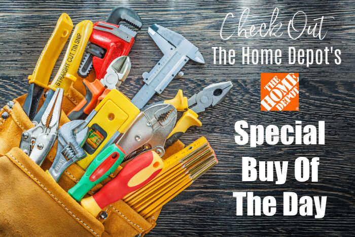 Check Out Home Depot's Special Buy of the Day PLUS Enter To Win A ...