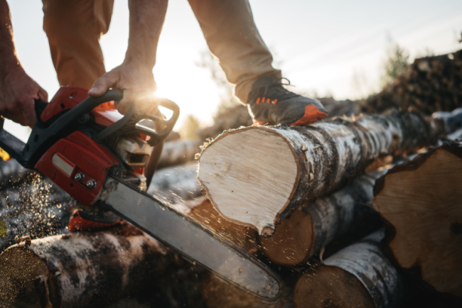 The Stihl Chainsaw Master Guide: What You Need to Know