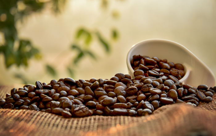 Where Do Coffee Beans Come From?