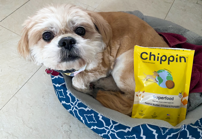 Chippin ~ Foods That Are Better For Your Dog & The Planet!