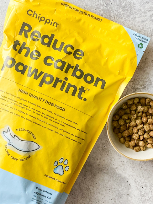 Chippin ~ Foods That Are Better For Your Dog & The Planet!