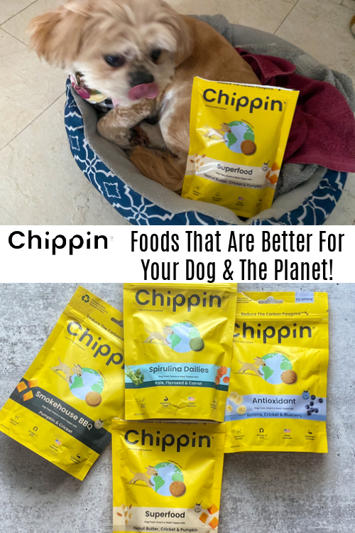 Chippin ~ Foods That Are Better For Your Dog & The Planet!