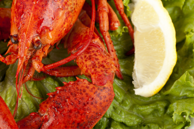 11 Yummy Ideas for Cooking Lobster