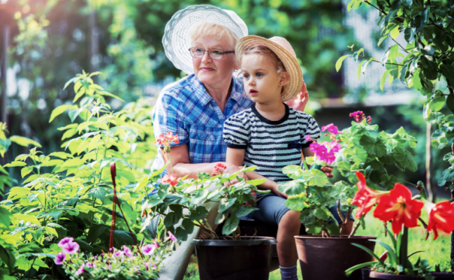 How You Can Upgrade Your Family Garden