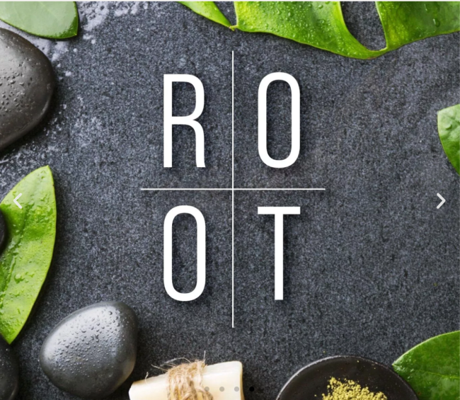The Reasons Everyone Needs ROOT In Their Lives