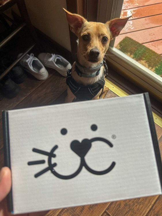 Savvy Pet Products Archives