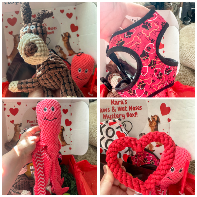 My Savvy Review Of Kara's Paws & Wet Noses Mystery Box ...