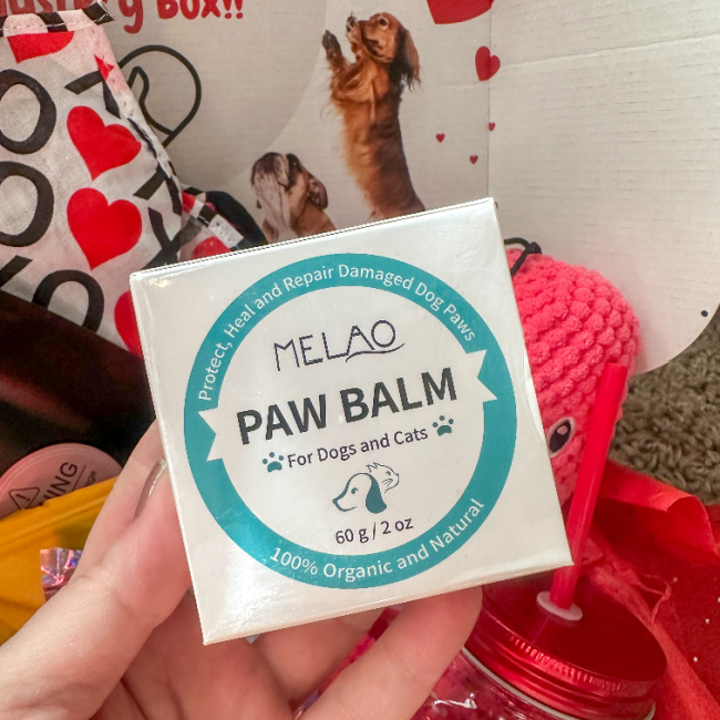 My Savvy Review Of Kara's Paws & Wet Noses Mystery Box ...
