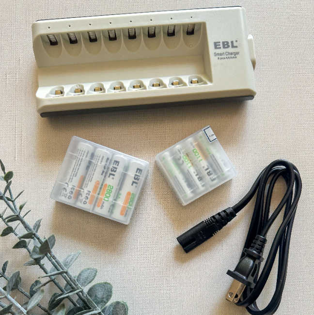 My Savvy Review Of The EBL Smart Charger With AA & AAA Batteries!