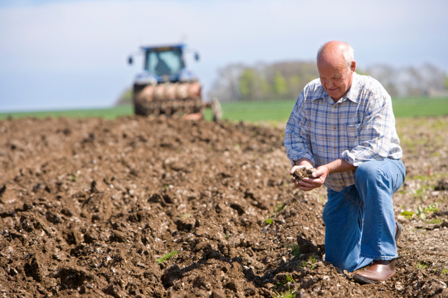 Restoring Harmony: The Vital Role of Ecological Equilibrium