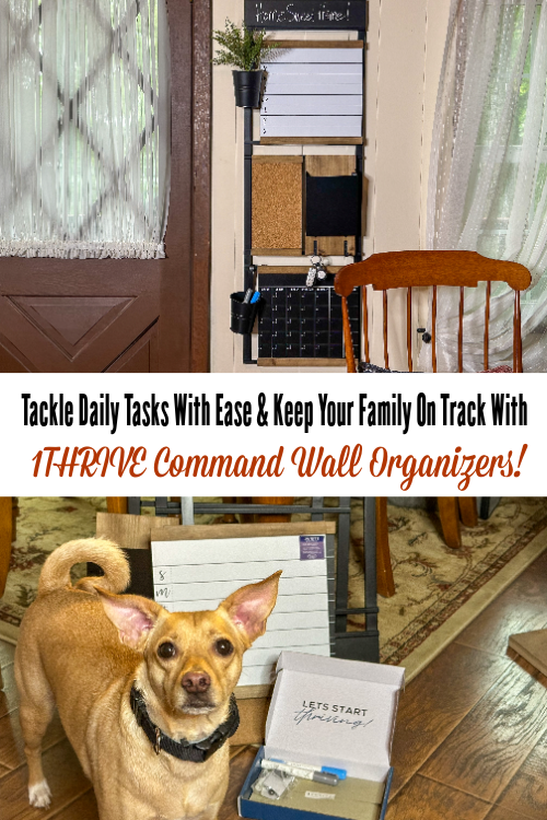 Tackle Daily Tasks With Ease & Keep Your Family On Track With 1THRIVE ...