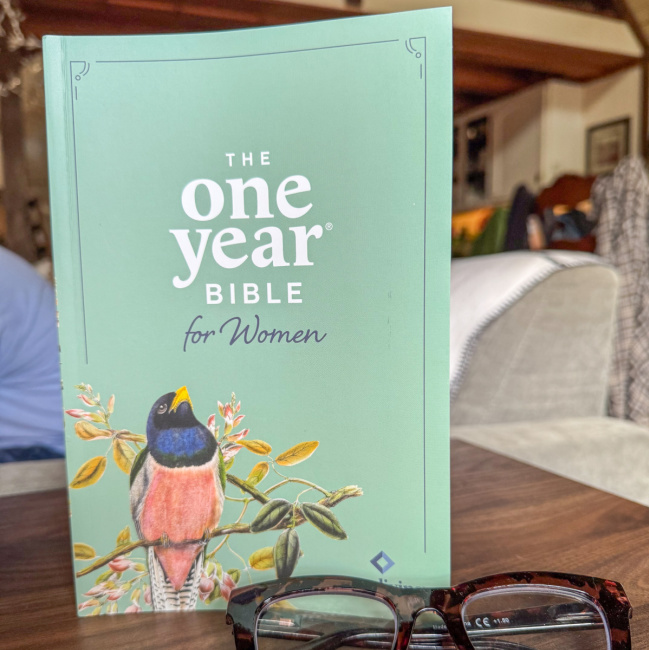 The Bible That’s Transforming My Quiet Time: "One Year Bible for Women ...